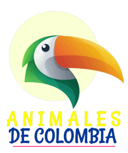 Guacamaya Ara Macao Información características y curiosidades - Guía 2025