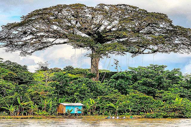 Descubriendo el Amazonas Colombiano: un viaje hacia lo desconocido