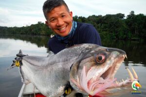 El fascinante pez Payara: el terror de las aguas dulces - Guía 2025