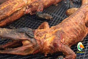 Babilla de la Amazonía: La joya del río - Guía 2025