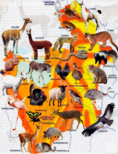 Animales de Colombia - Guía completa y detallada 2024